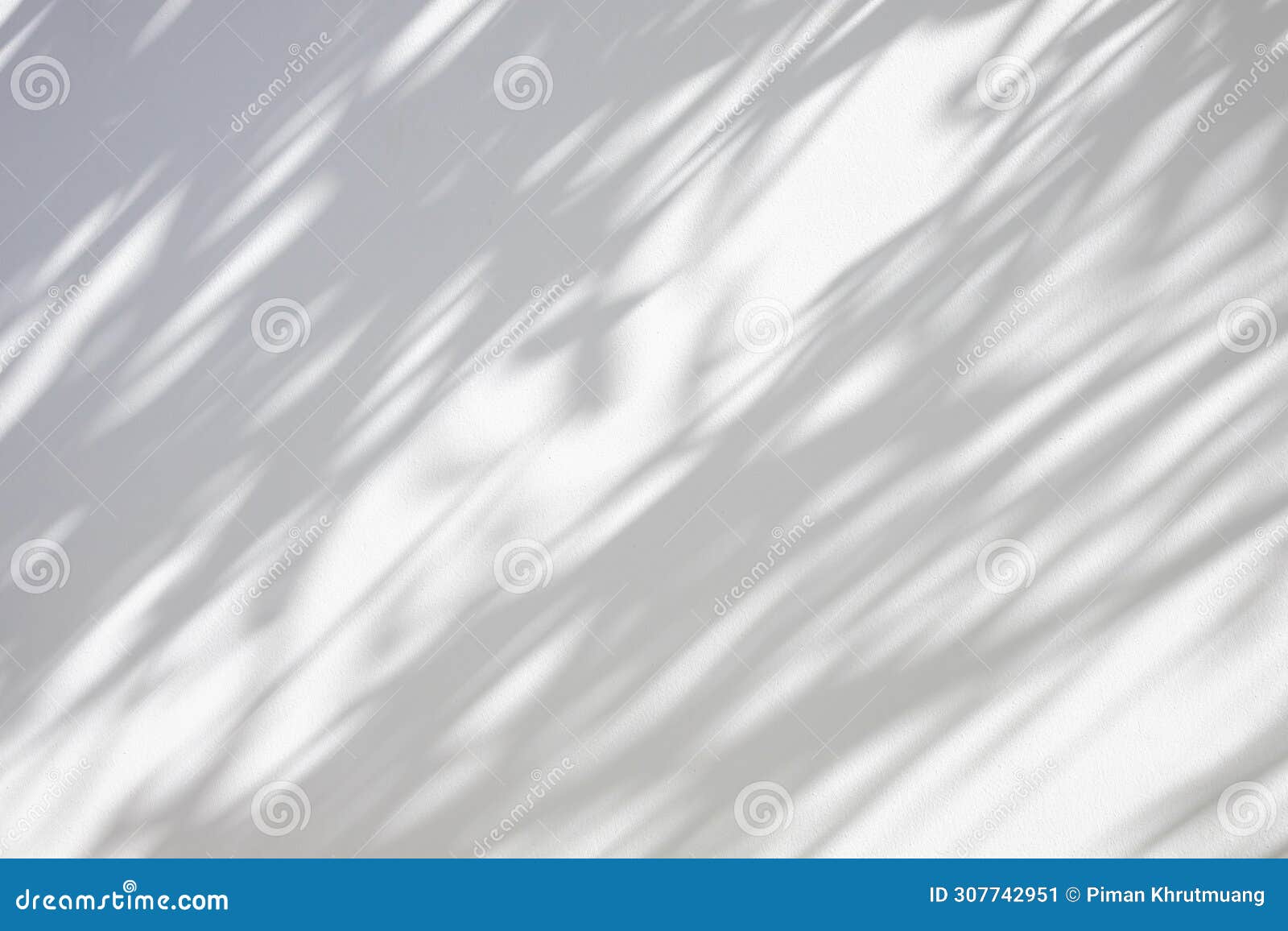 Natural Tree Leaves Shadow on White Wall Background Stock Image - Image ...