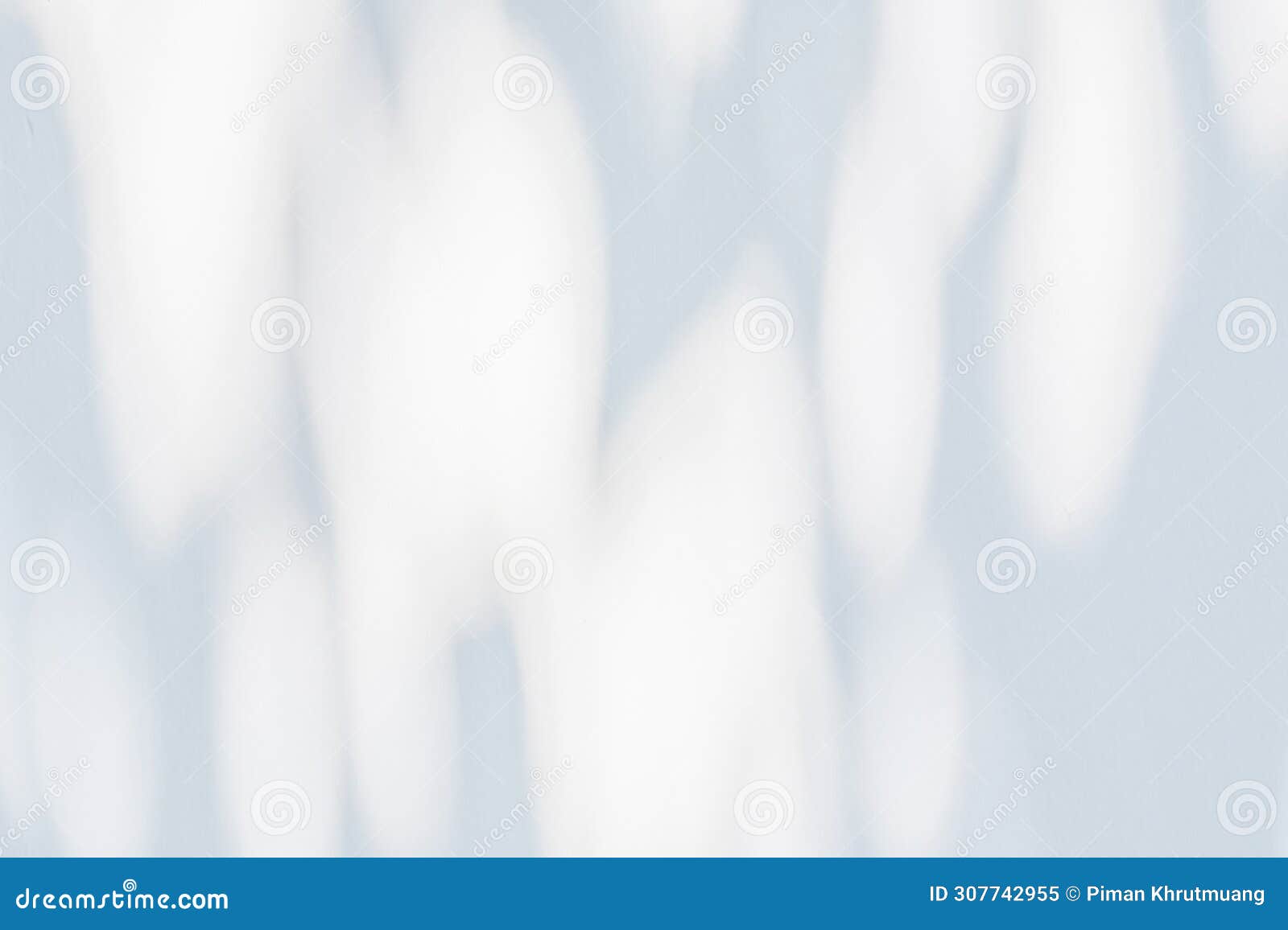 Natural Tree Leaves Shadow on White Wall Background Stock Image - Image ...