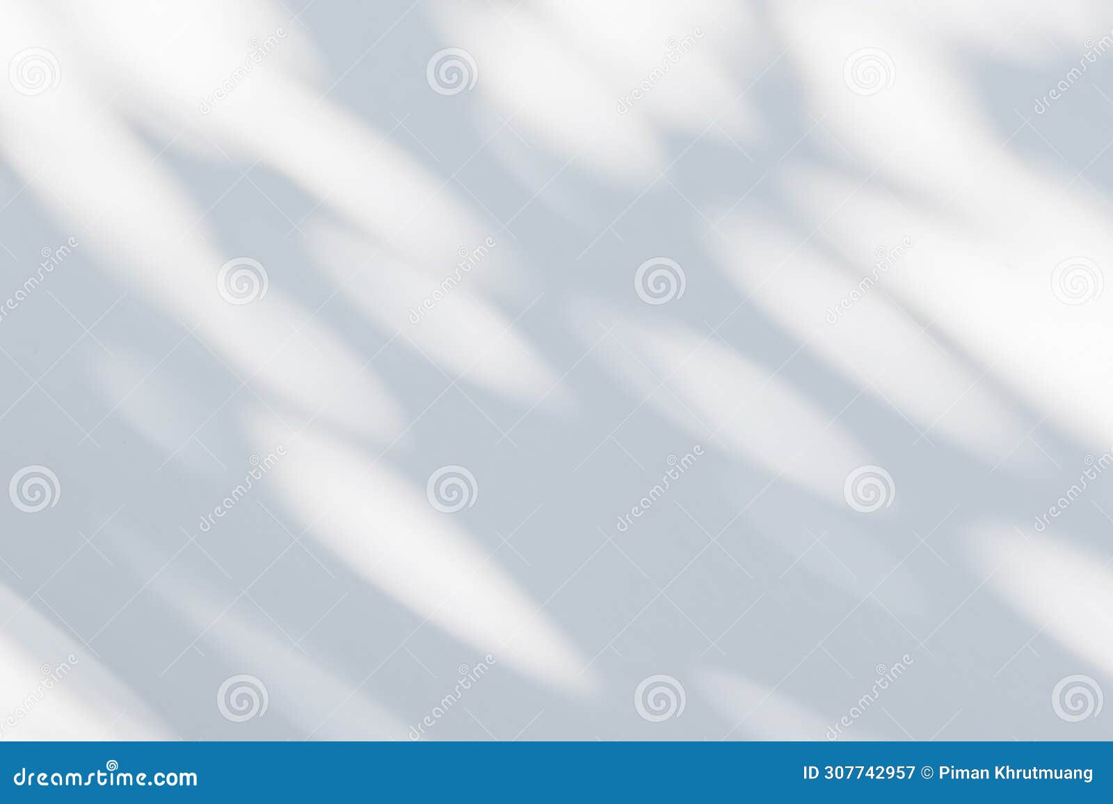 Natural Tree Leaves Shadow on White Wall Background Stock Image - Image ...