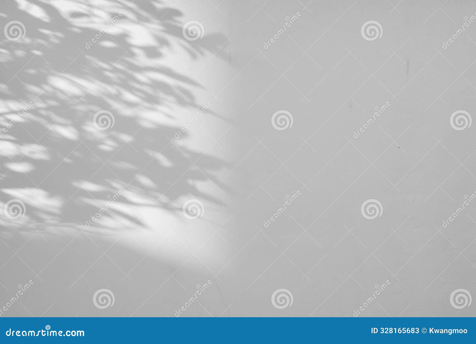 Natural Tree Leaves Shadow on White Wall Background Stock Image - Image ...