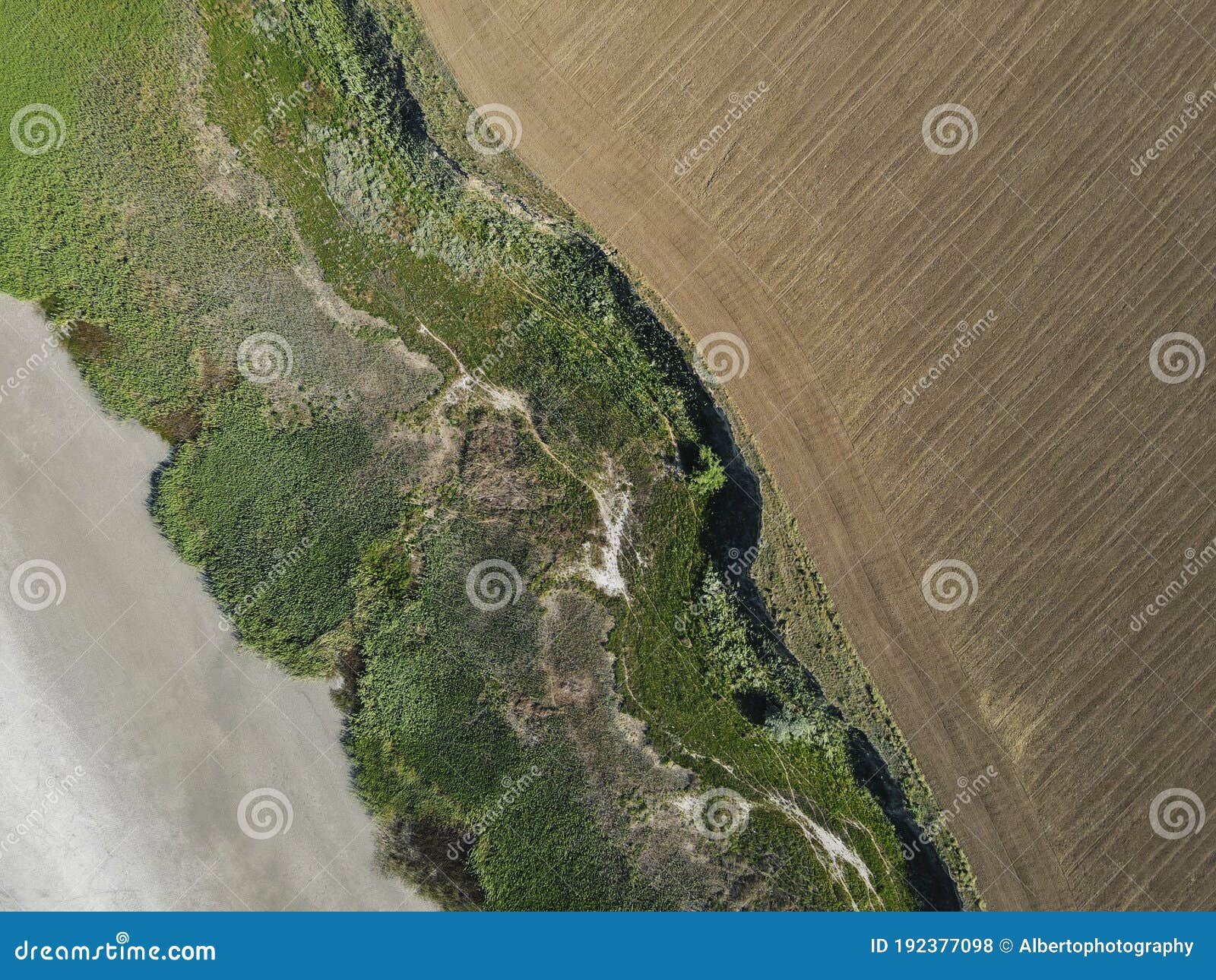 Abstract nature from above stock photo. Image of plant - 192377098