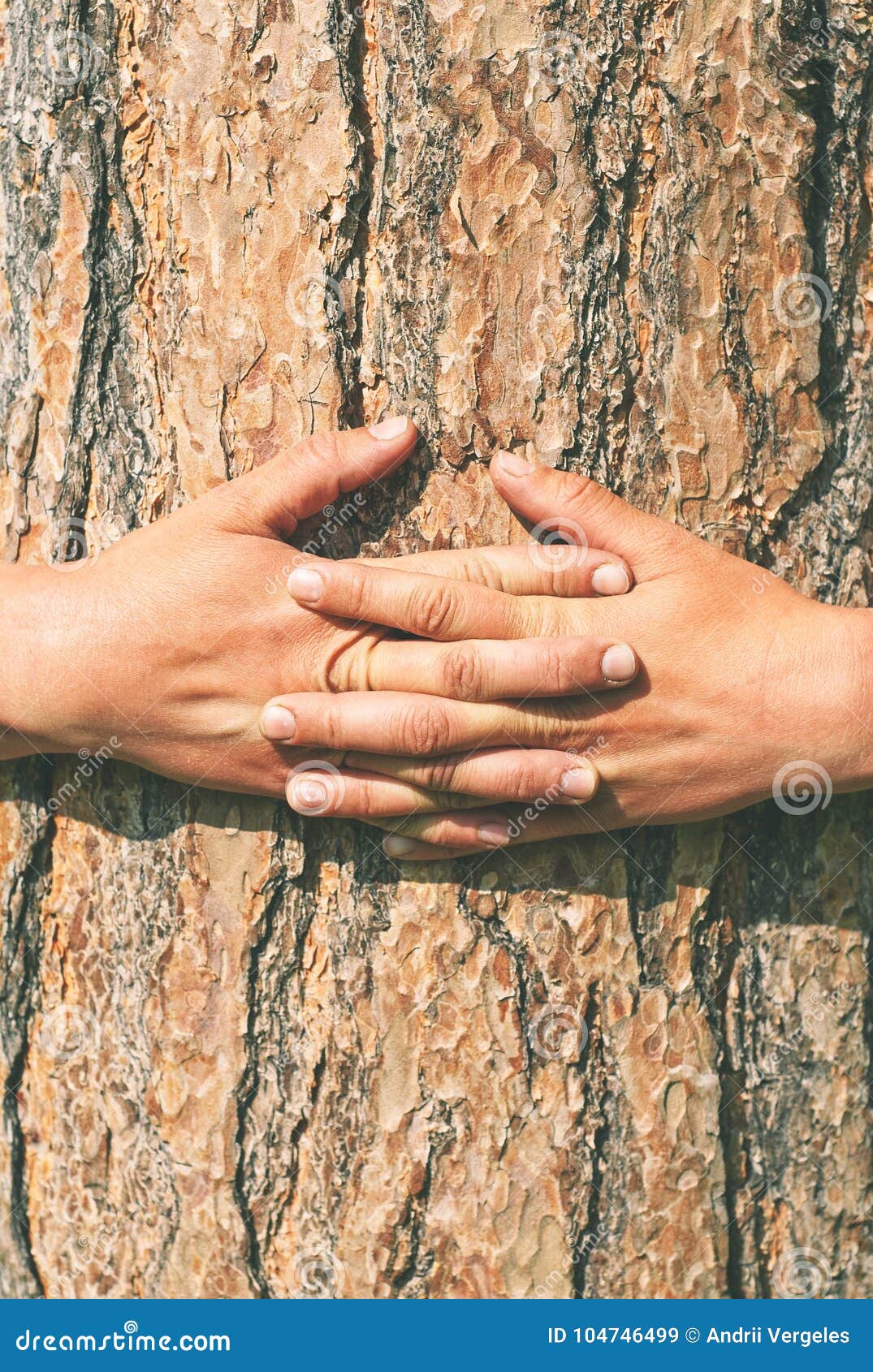 Arms wrapped around a tree stock image. Image of ecosystem - 104746499