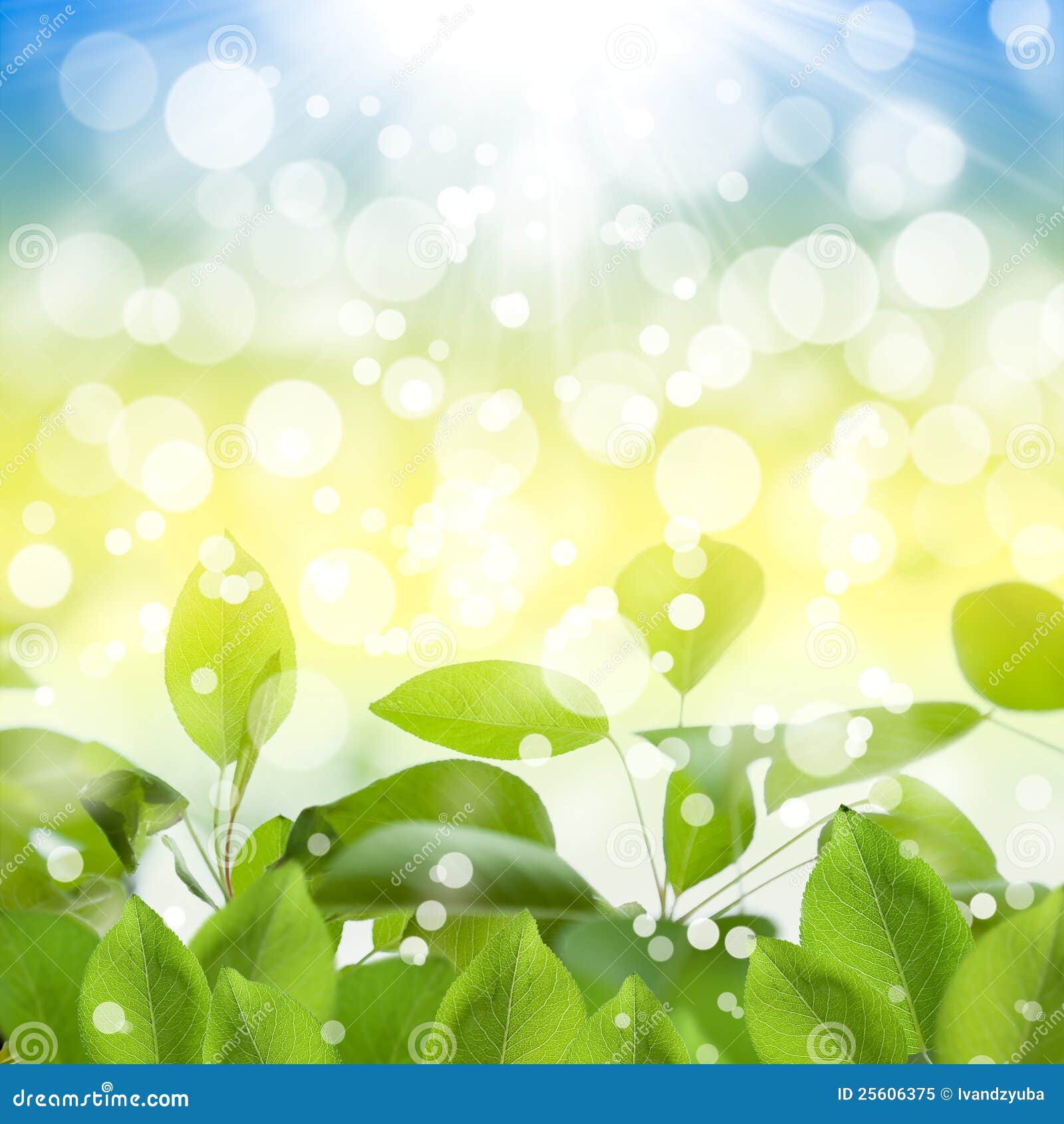 Abstract nature background stock image. Image of flower - 25606375