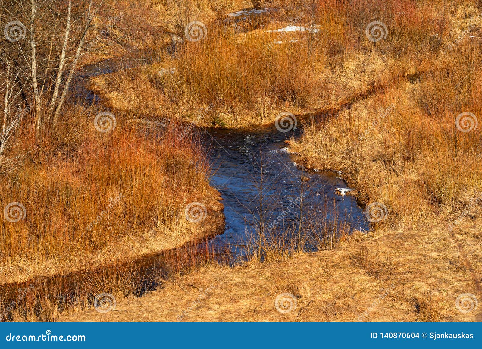 Abstract Nature Background with the Flowing Curves of the River Stock ...