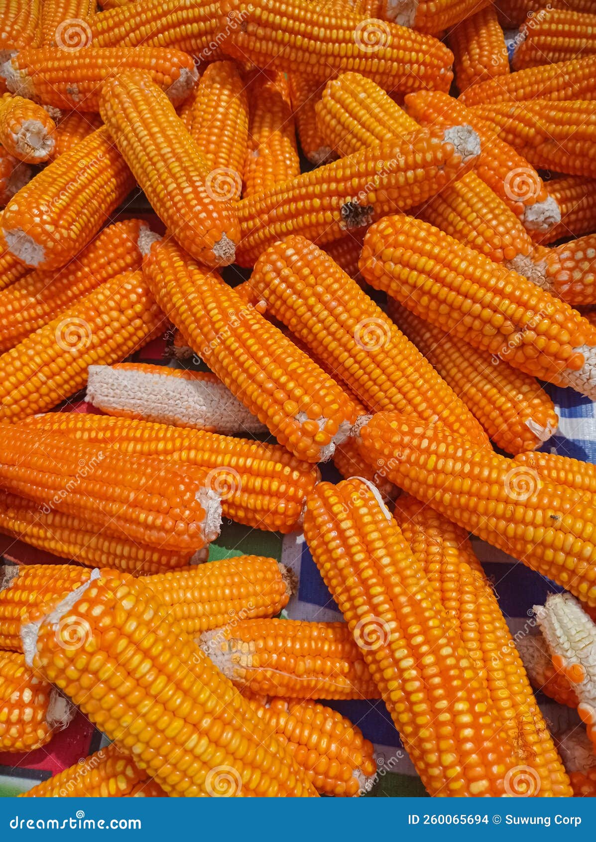 Abstract Nature Background, Made from a Collection of Corn and Ripe ...