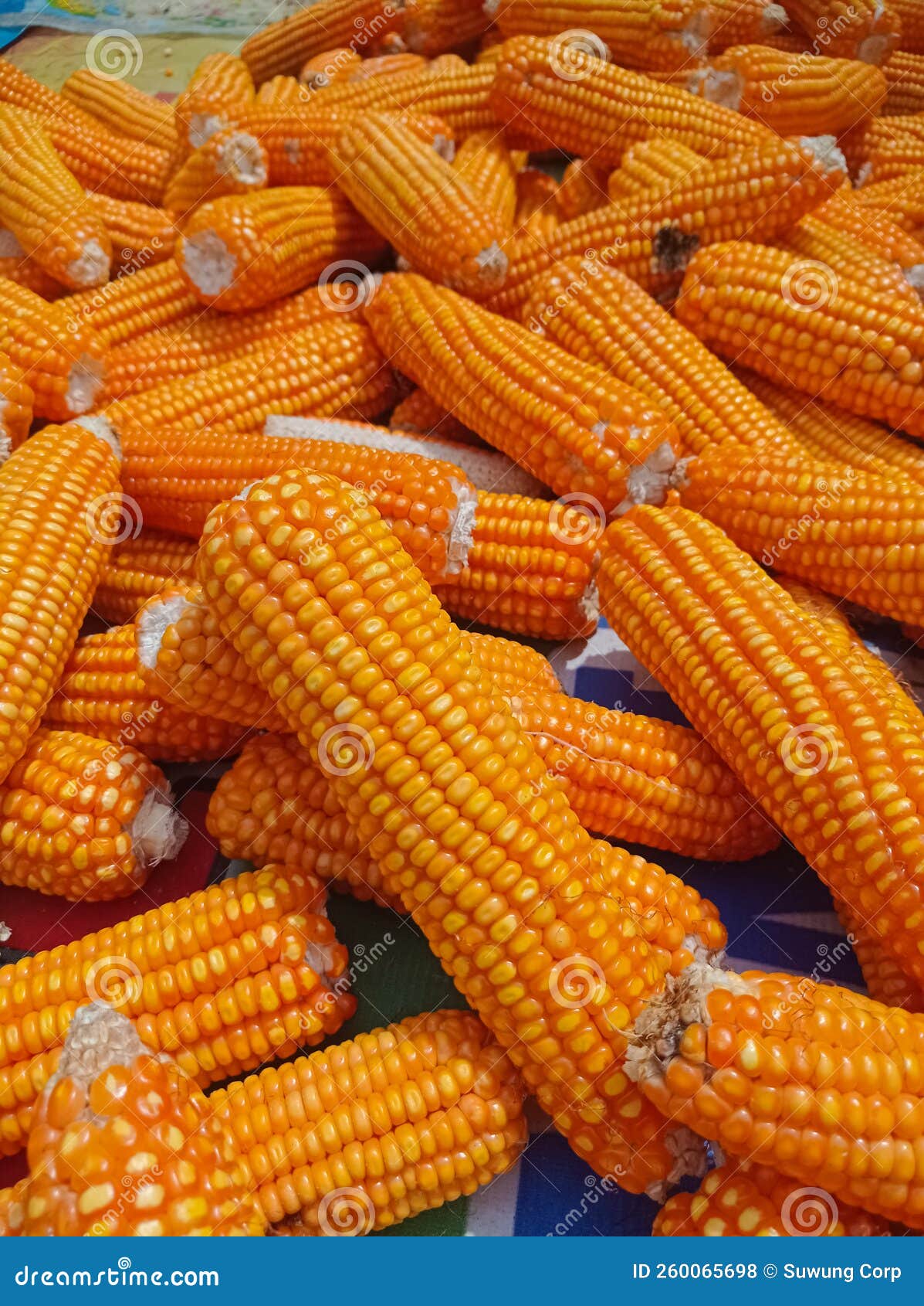 Abstract Nature Background, Made from a Collection of Corn and Ripe ...