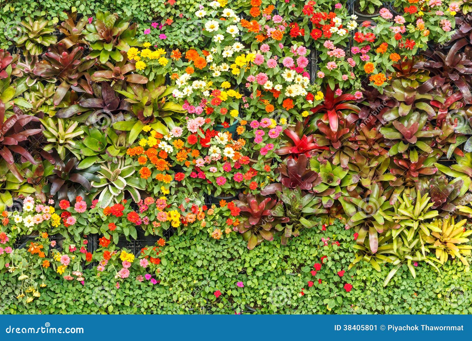 Abstract Nature Background, Wall Garden Stock Image - Image of garden ...