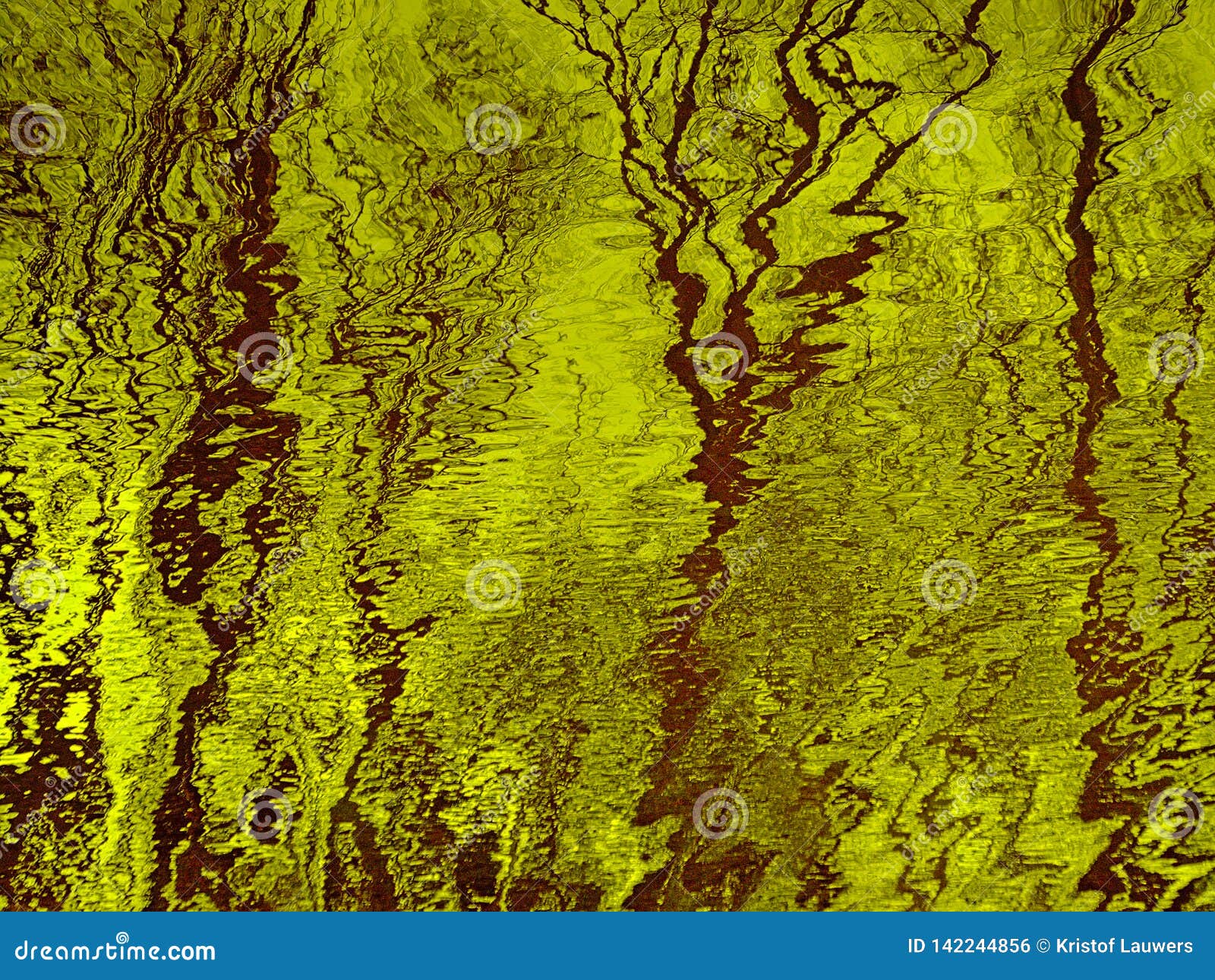 Yellow Rippling Water Surface with Reflections of Bare Trees and Sky ...