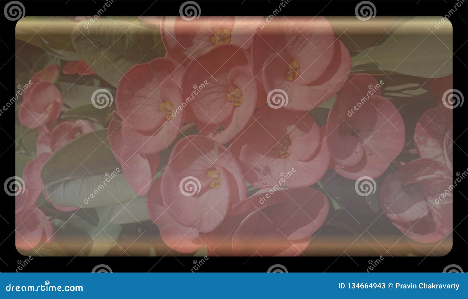 Nature Dull Background Template for Website, Abstract Info Graphics ...