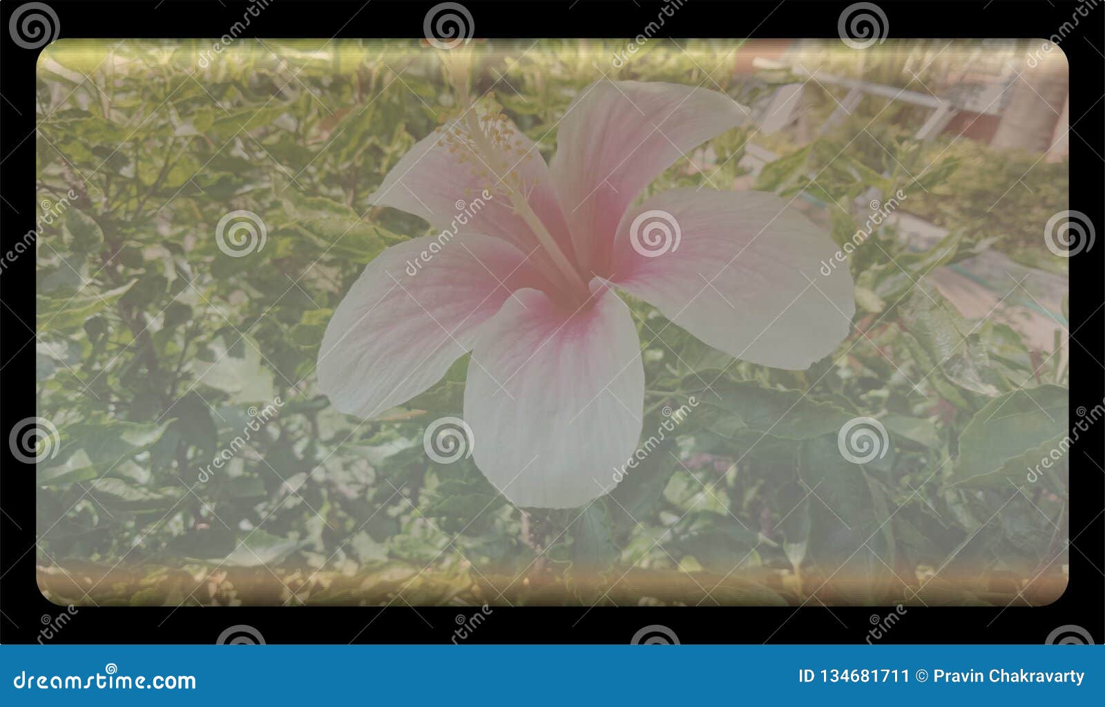 Nature Dull Background Template for Website, Abstract Info Graphics ...