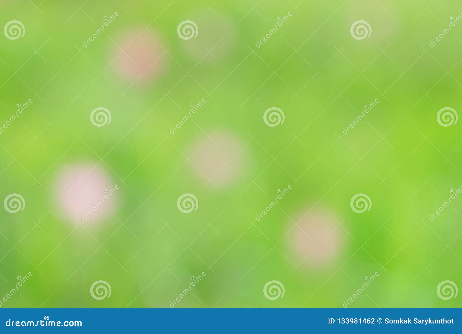 Abstract nature green stock photo. Image of bright, leaf - 133981462