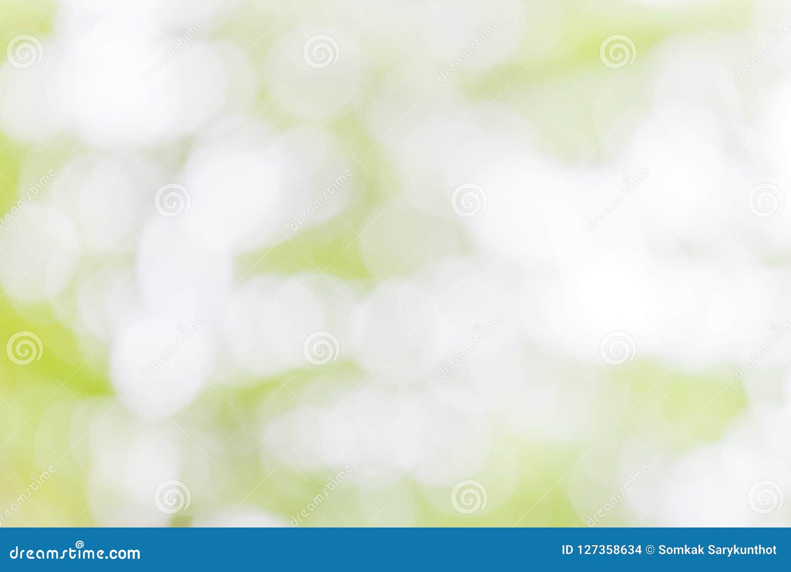 Abstract nature green stock photo. Image of plant, life - 127358634
