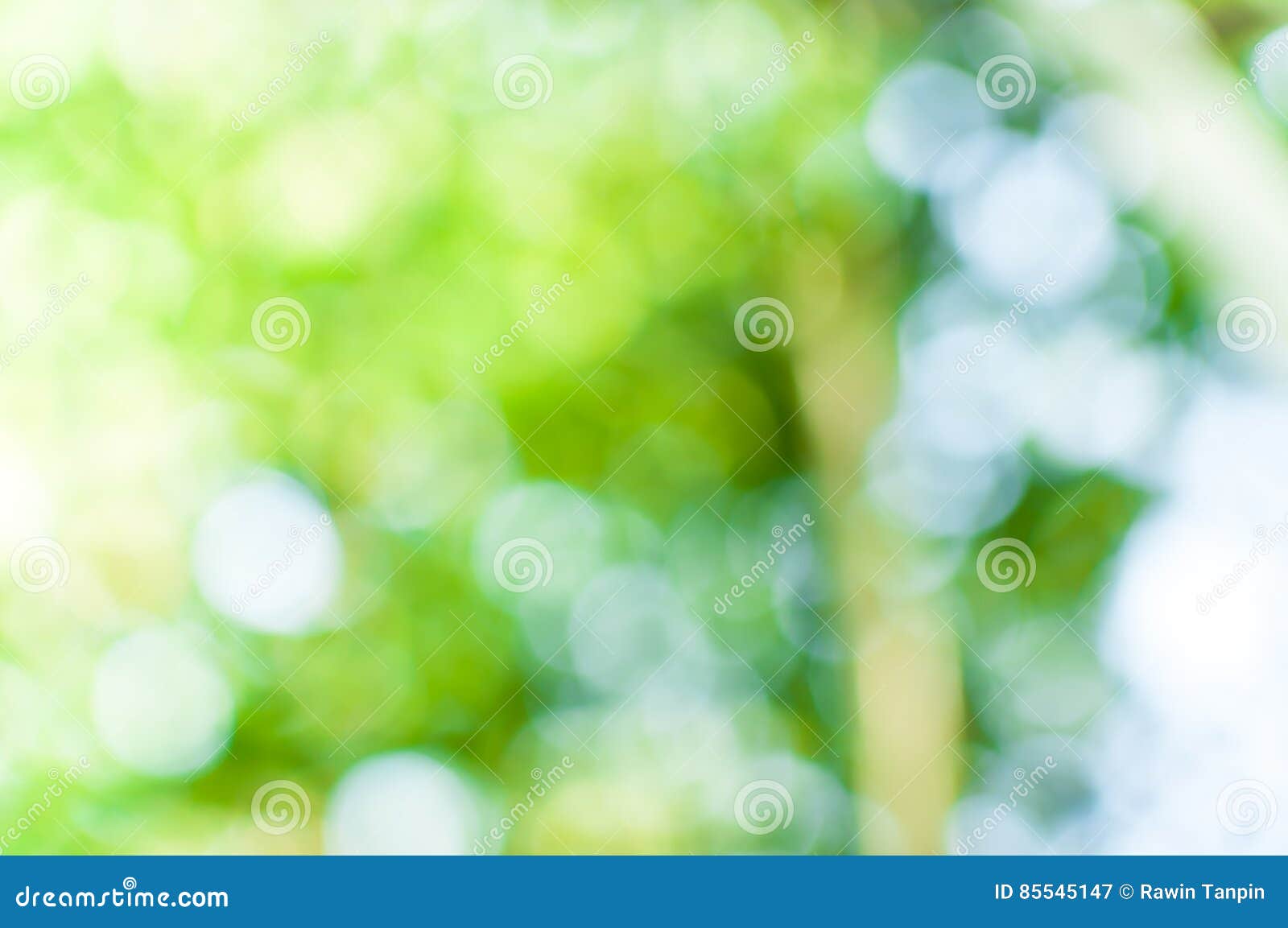 Abstract Nature Green Bokeh from Tree Background Stock Image - Image of ...