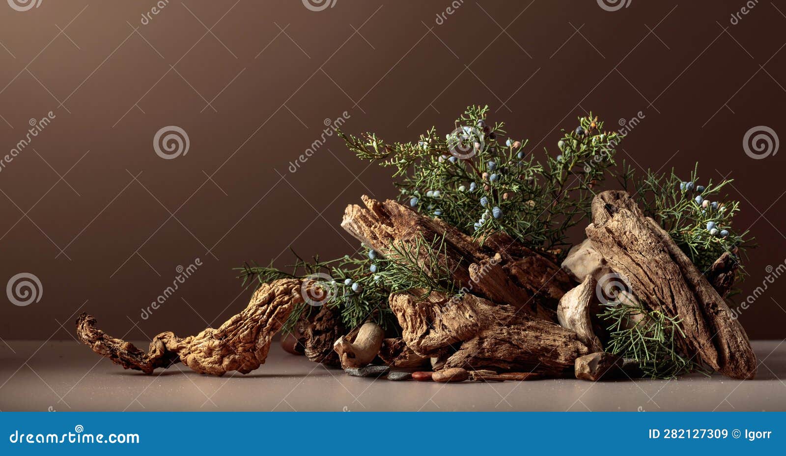 Abstract Nature Scene with a Composition of Juniper and Dry Snags Stock ...