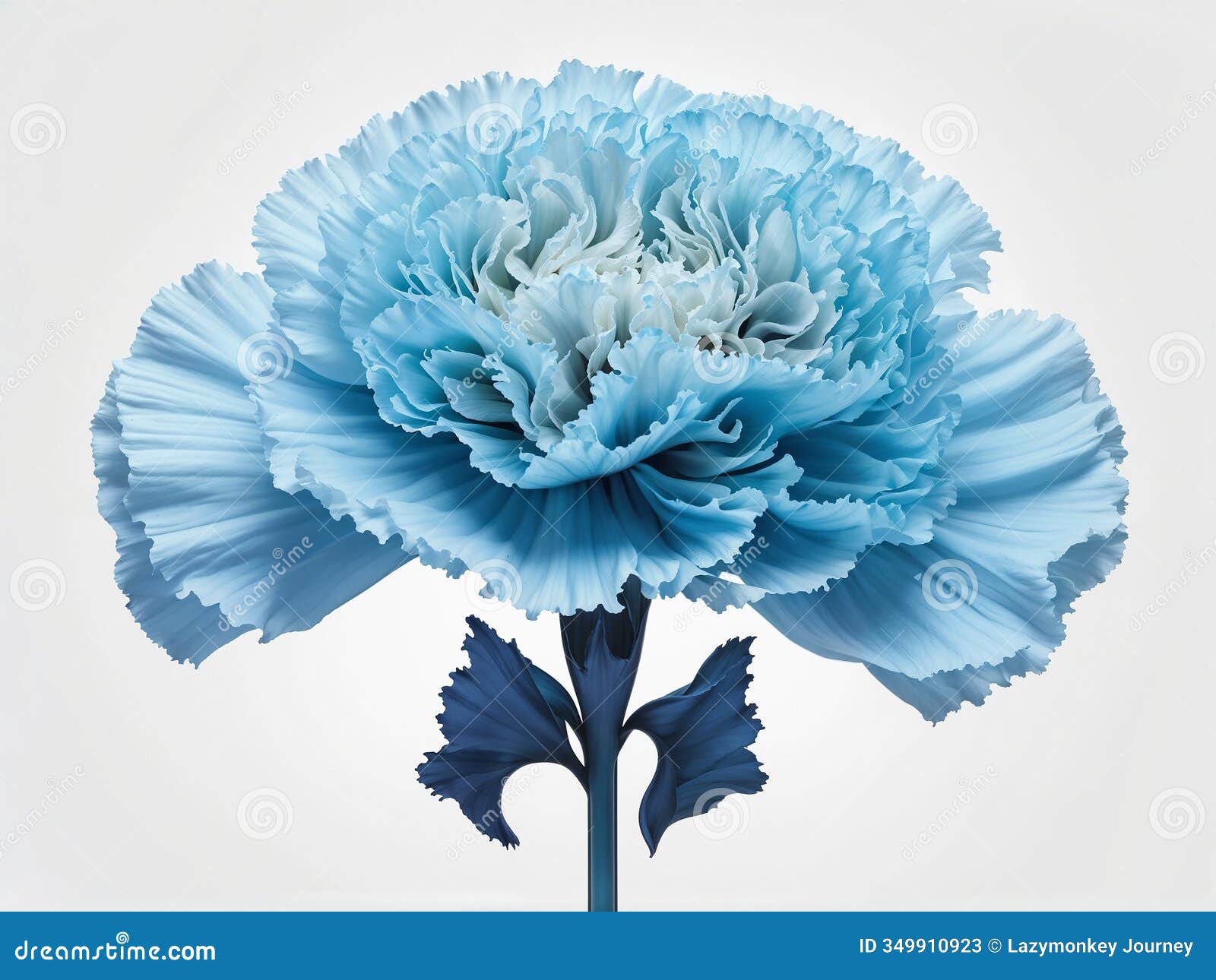 Abstract Neon Light Blue Carnation Flower on White Background Stock ...