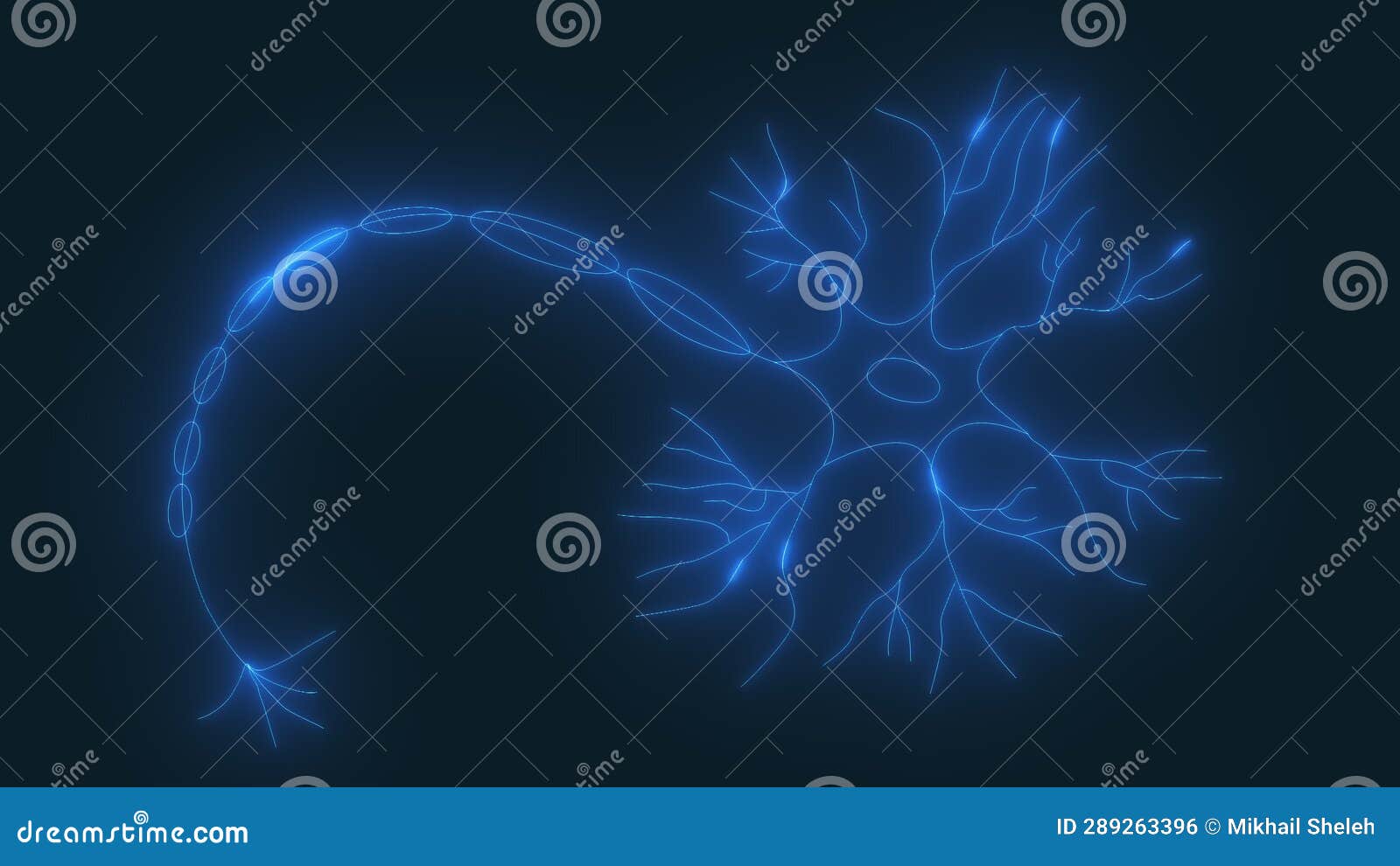 An Abstract Neon Nerve Cell with Axon Branches, Nucleus, and Dendrites ...