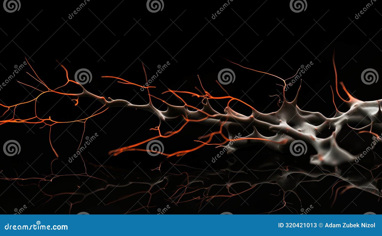 Abstract Neural Network Art Blue And Orange Branching Patterns