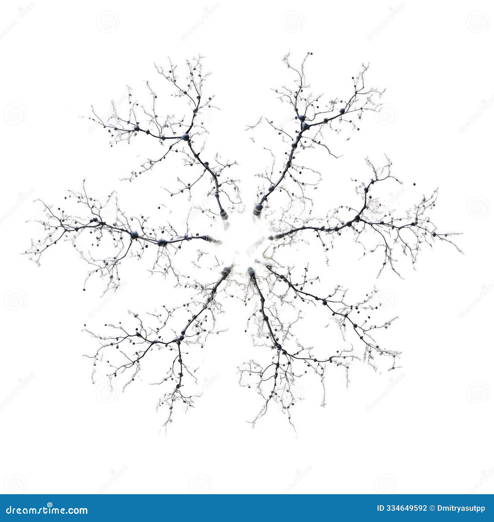 Abstract Neuron Pattern Resembling a Tree on White Background Forming ...