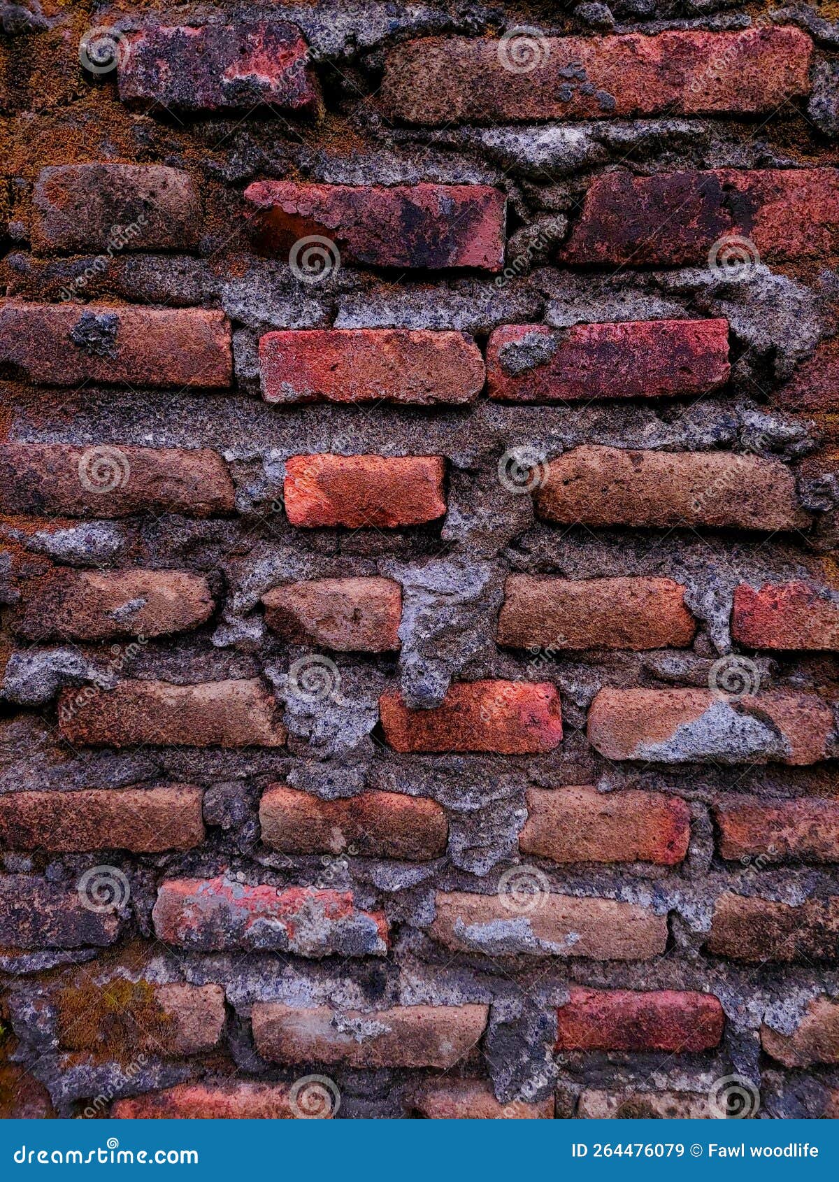 Abstract and Old Brick Wall Background with Different Color Stock Image ...