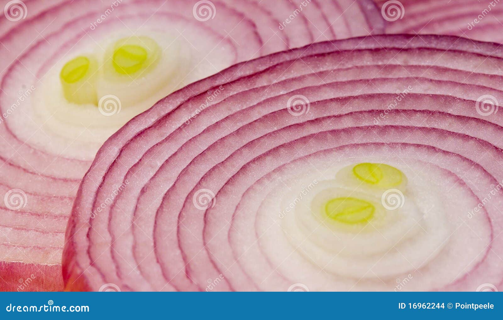Abstract Onions stock photo. Image of pattern, onions - 16962244