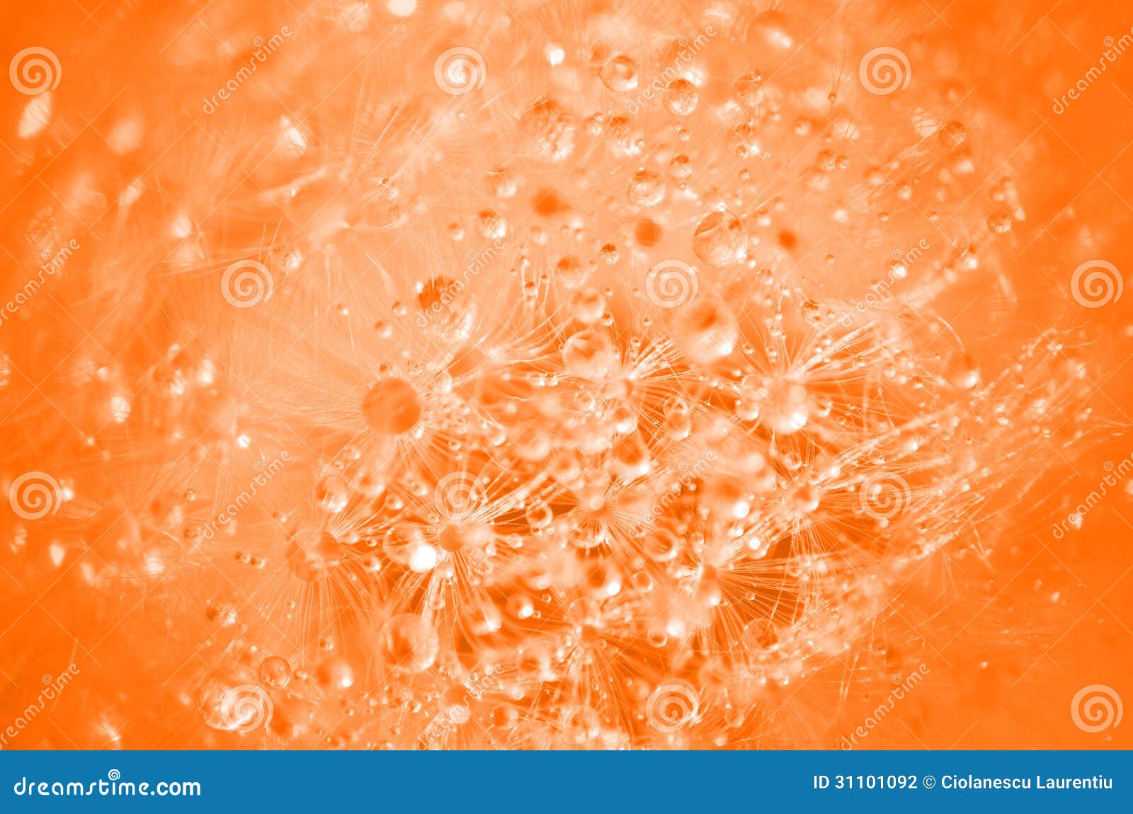 Abstract Orange Background Stock Photography | CartoonDealer.com #31101092