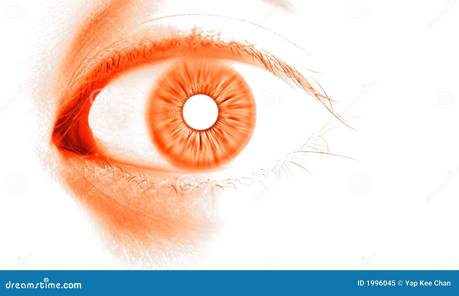 Abstract orange eye stock illustration. Illustration of tech - 1996045
