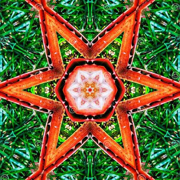 Abstract Orange Star Pattern Background Texture Stock Illustration ...