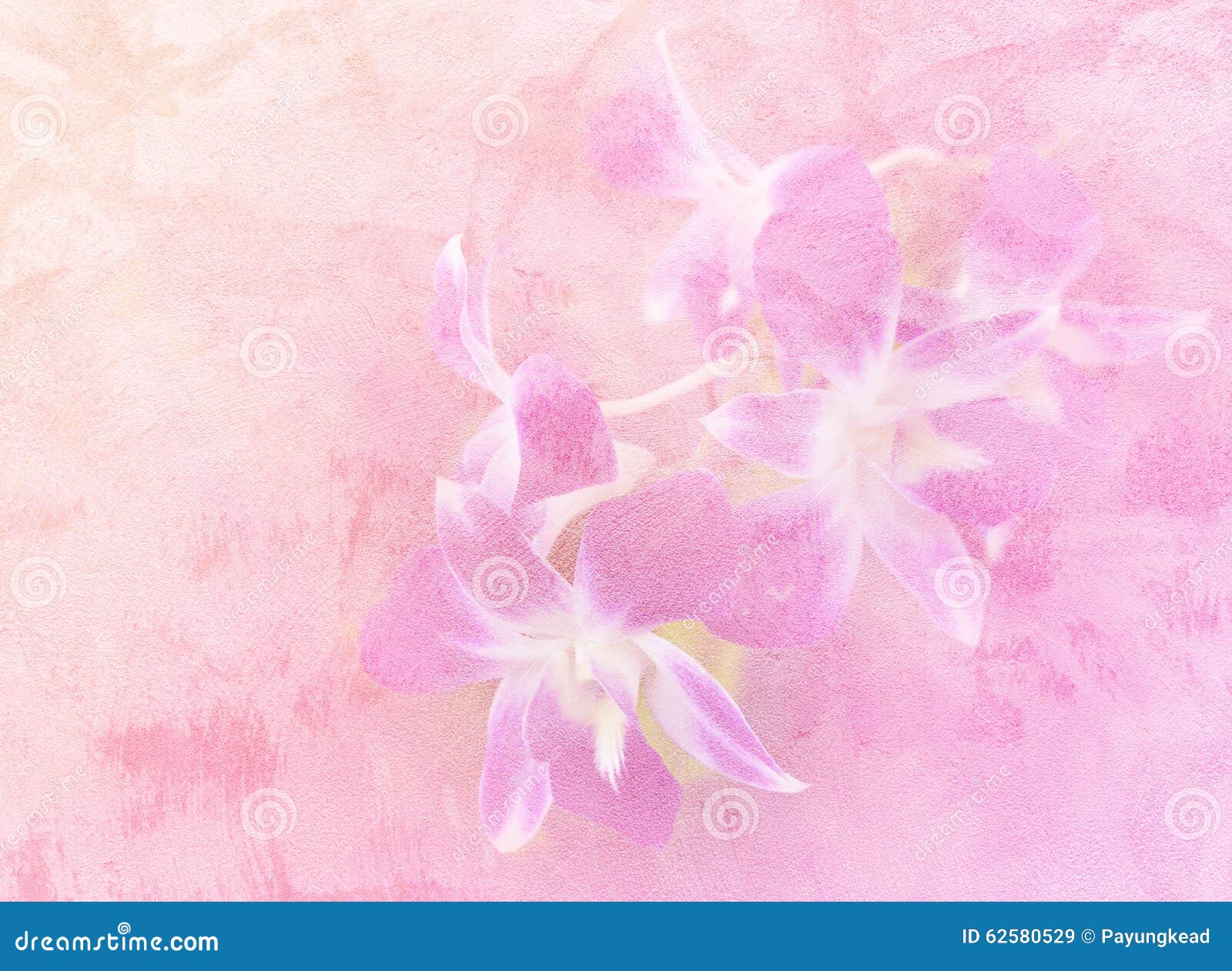 Abstract orchid flower stock image. Image of bright, spring - 62580529