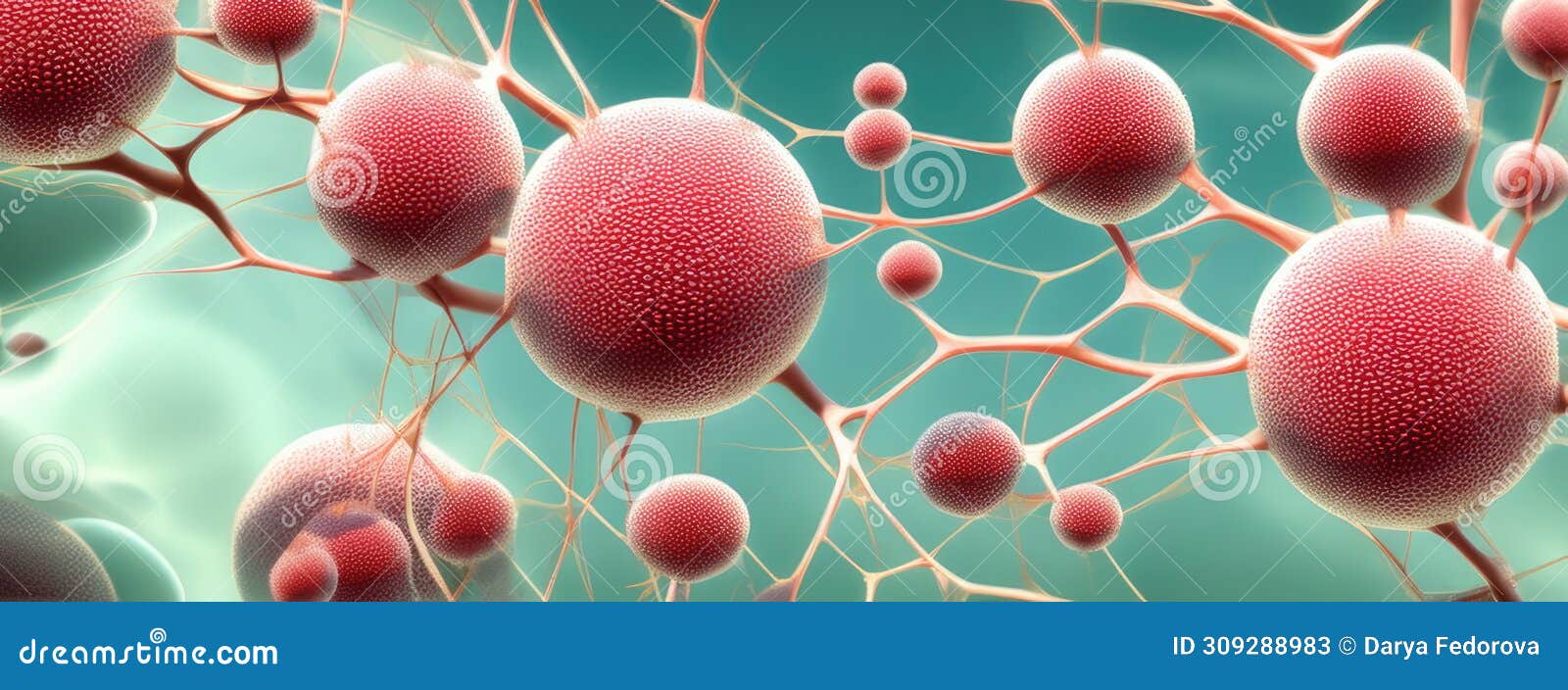 Abstract Organic Cell Structure with Textured Spheres and Network Stock ...