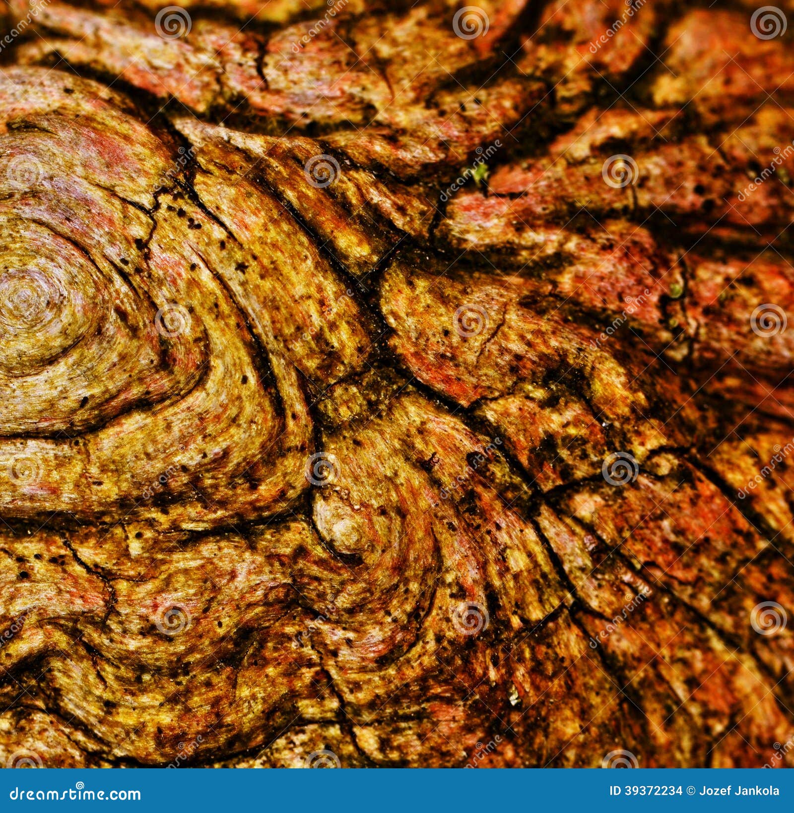 Abstract organic texture stock photo. Image of patina - 39372234