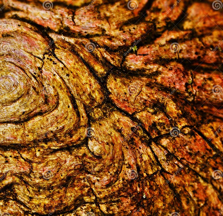 Abstract organic texture stock photo. Image of patina - 39372234