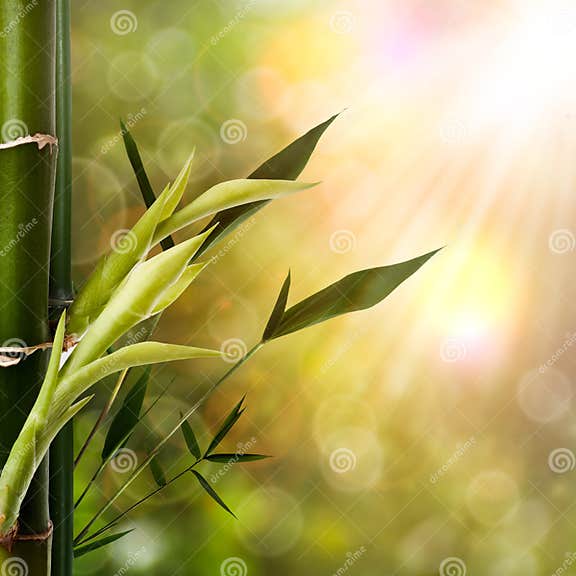 Abstract Oriental Backgrounds Stock Photo - Image of background, asian ...