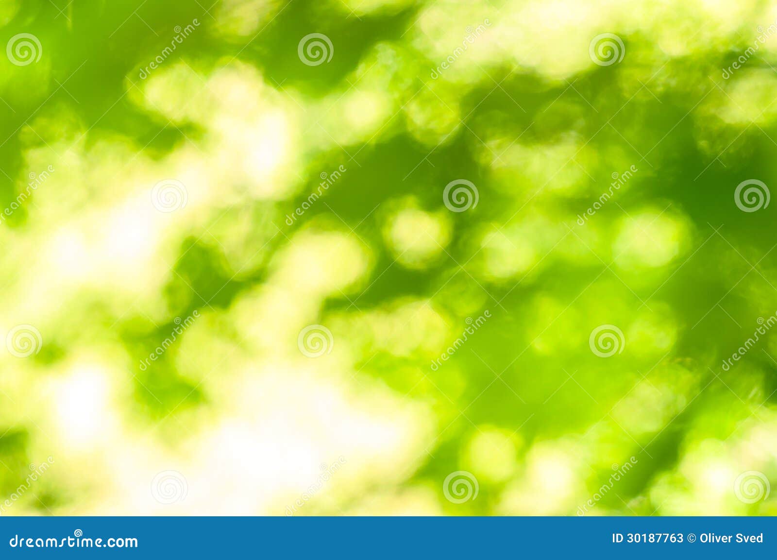 Abstract Out of Focus Blurry Background Stock Image - Image of grass ...