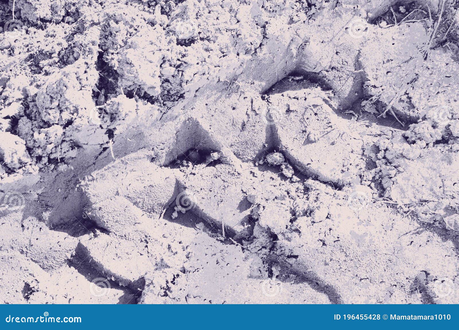 Abstract Pale Violet Color Background for Design Stock Photo - Image of ...