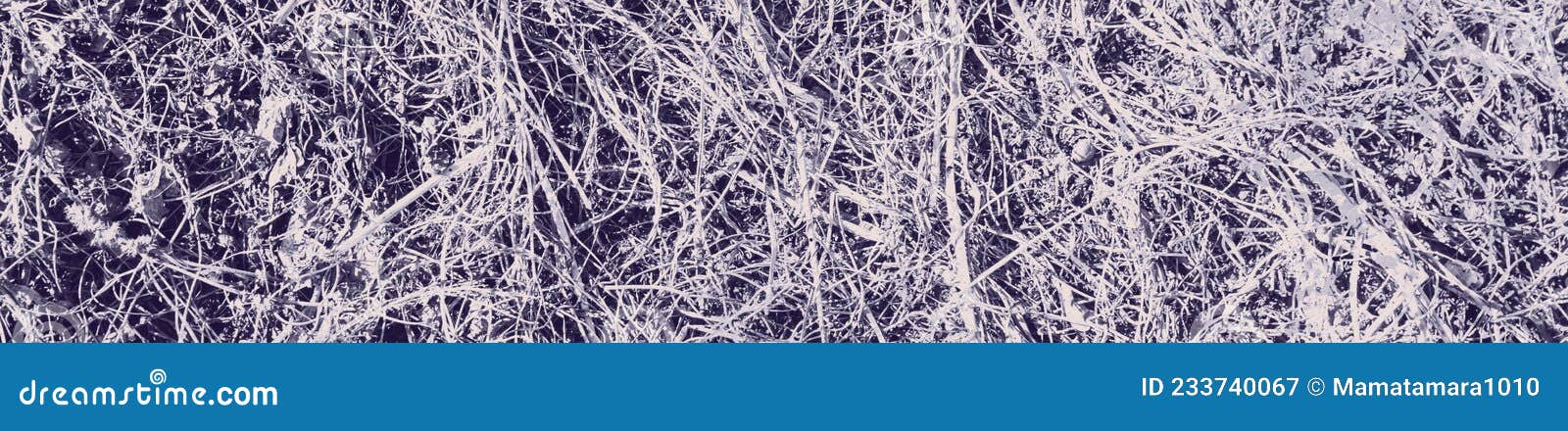 Abstract Pale Violet Color Background for Design Stock Image - Image of ...