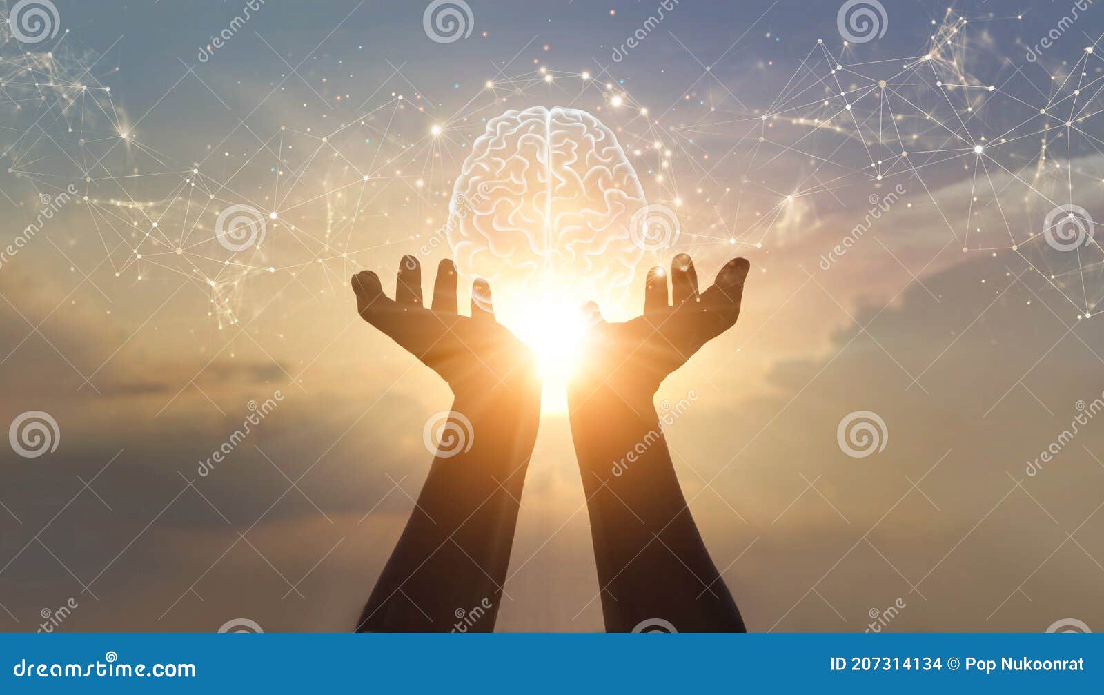 Abstract Palm Hands Holding Brain with Network Connections, Innovative ...