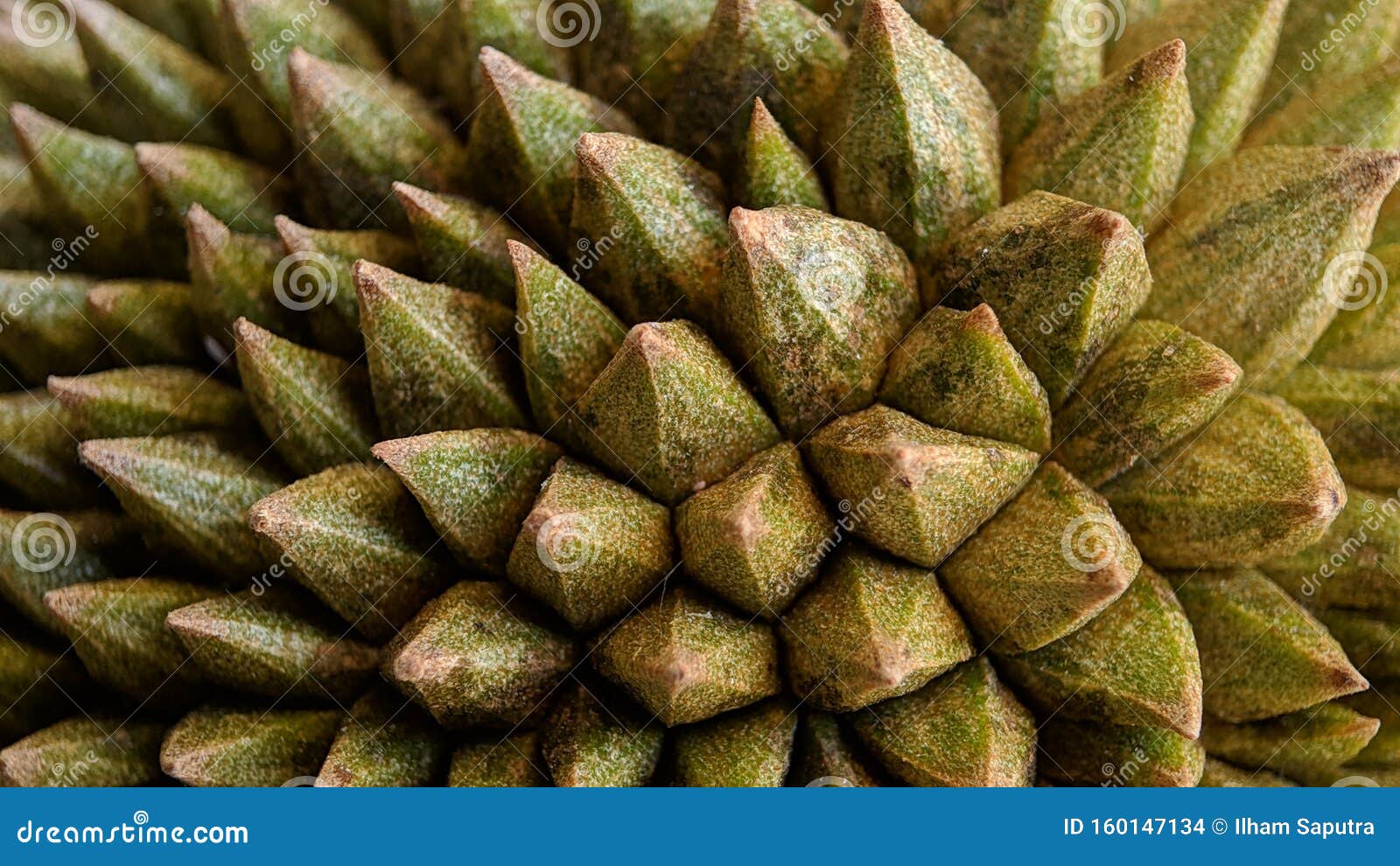 Abstract Pattern Durian Thorn Texture Background Stock Photo - Image of ...