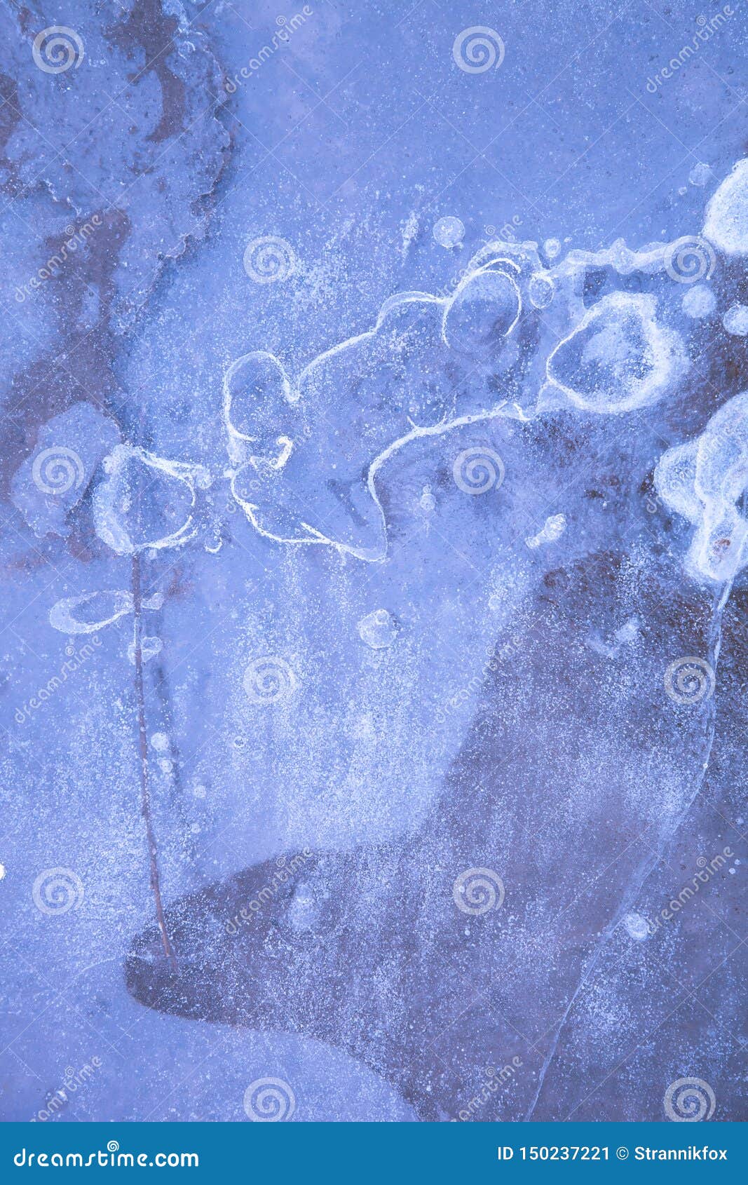 Abstract Pattern of Ice on the Over of Puddle. Toned Stock Image ...