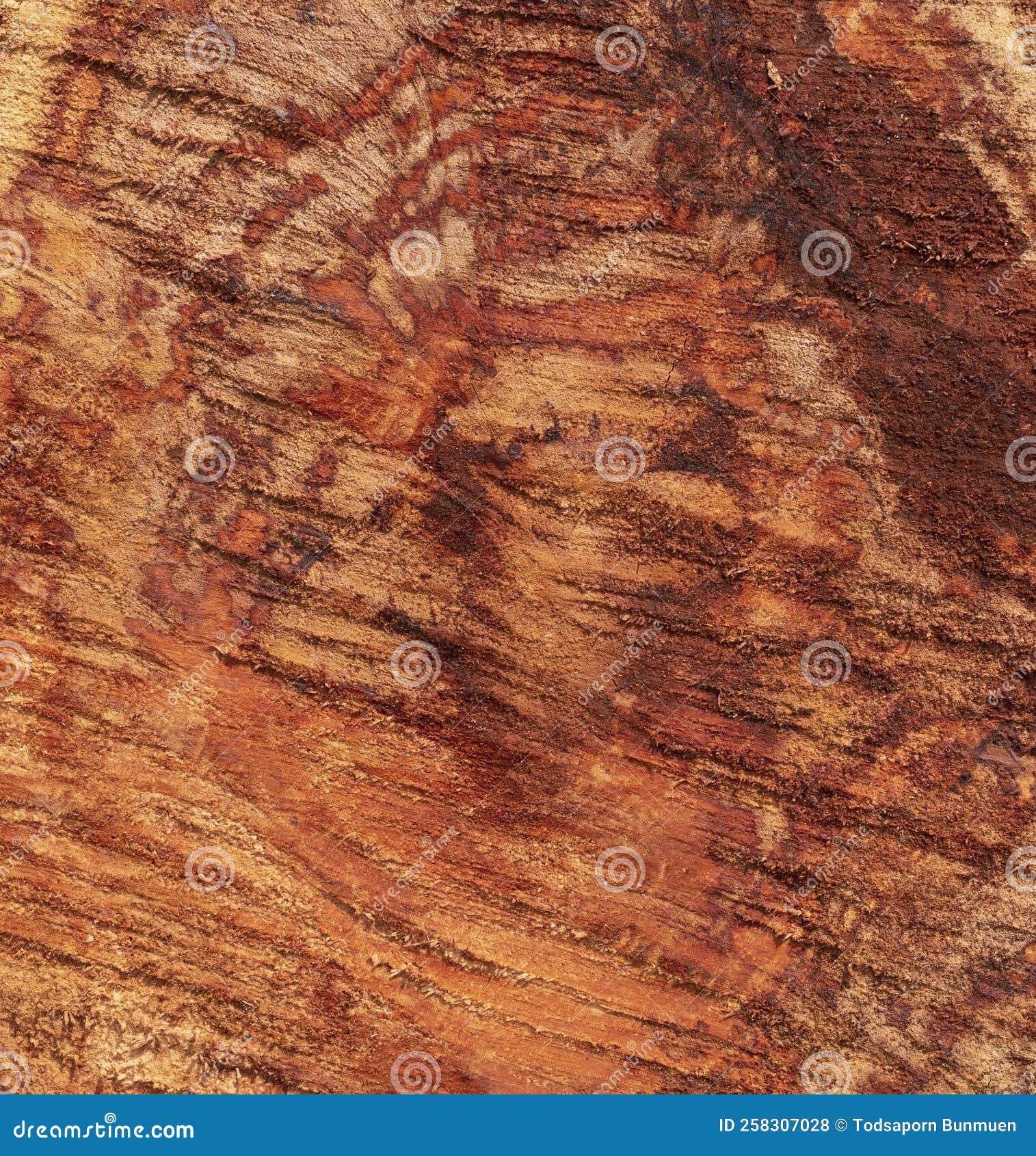 Abstract Pattern of Longan Tree Core Texture Stock Photo - Image of ...