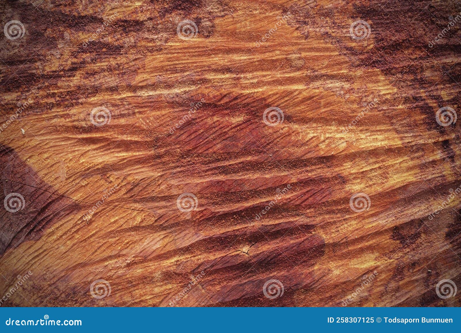 Abstract Pattern of Longan Tree Core Texture Stock Image - Image of ...
