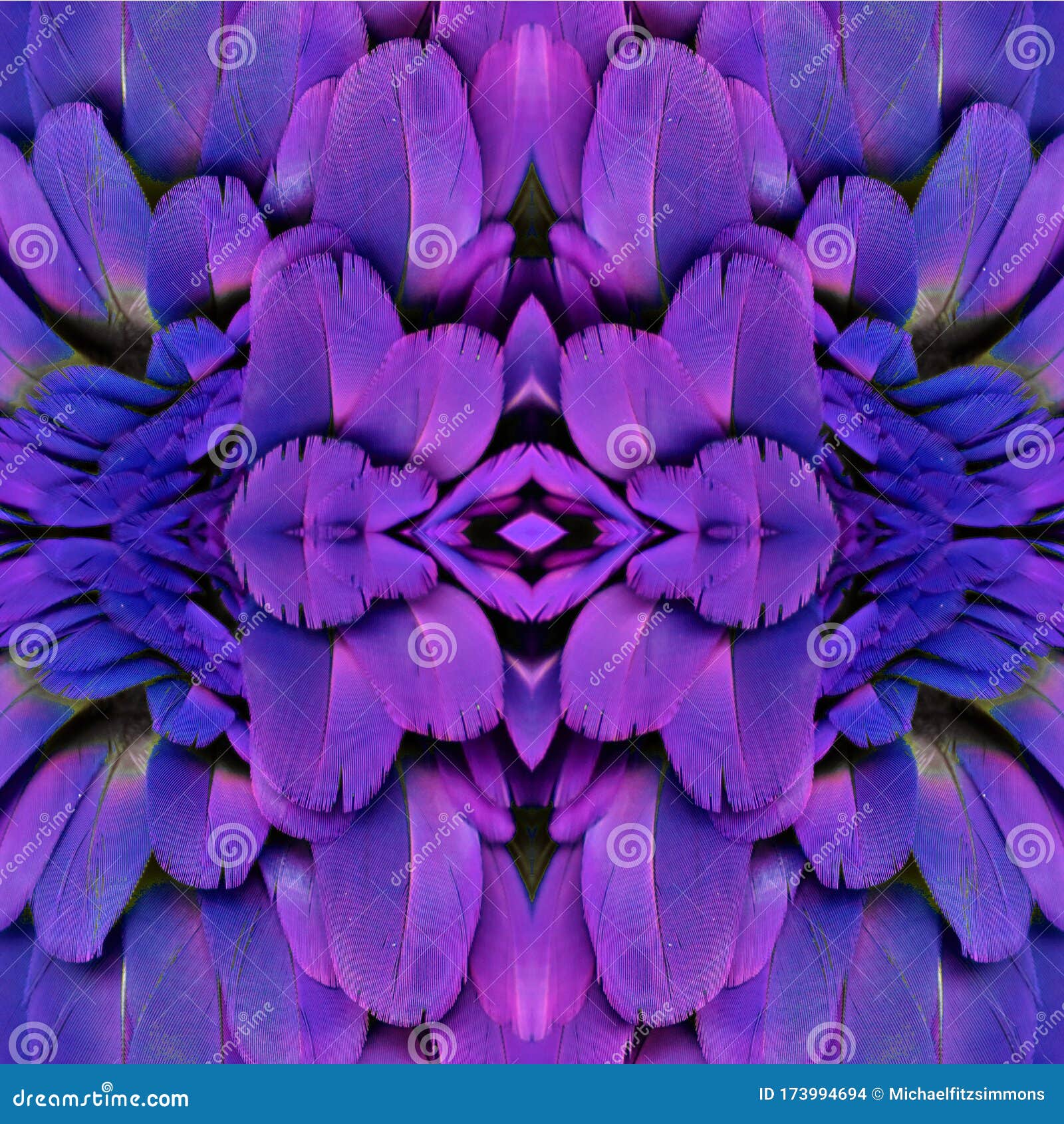Abstract Pattern of Purple Feathers Stock Photo - Image of symmetric ...