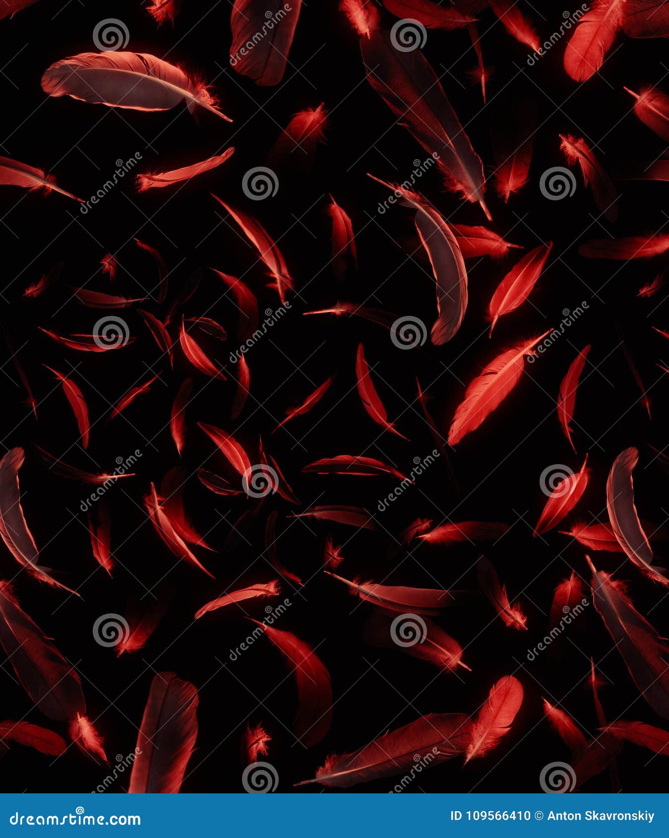 Pattern of red feathers stock photo. Image of feather - 109566410