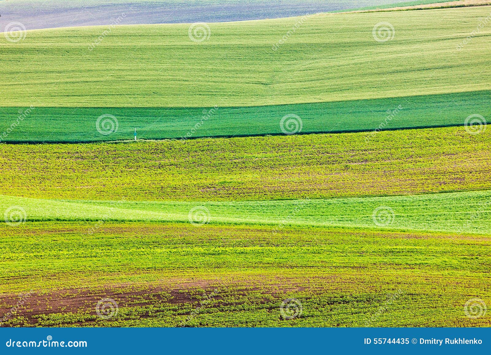 Abstract Pattern of Rolling Fields Stock Image - Image of line, moravia ...