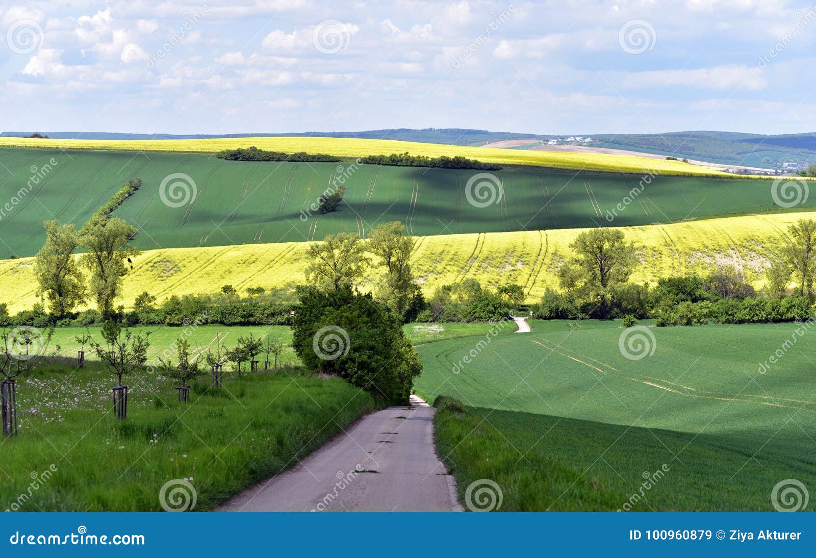 Rolling Summer Landscape of Moravia Stock Image - Image of farming ...