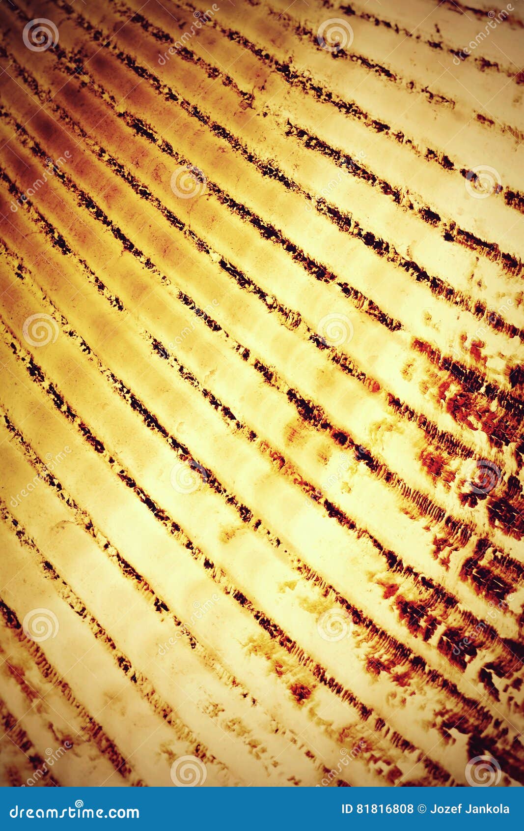 Abstract Pattern on the Shell Stock Photo - Image of yellow, detail ...