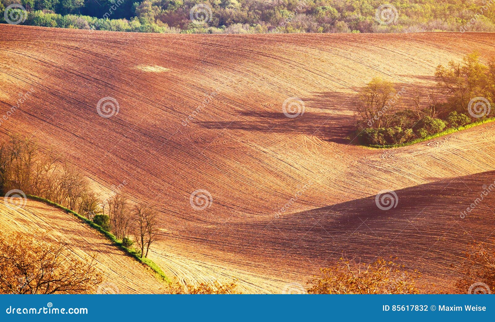 Abstract Pattern Texture of Rolling Wavy Fields in Spring. Spring ...