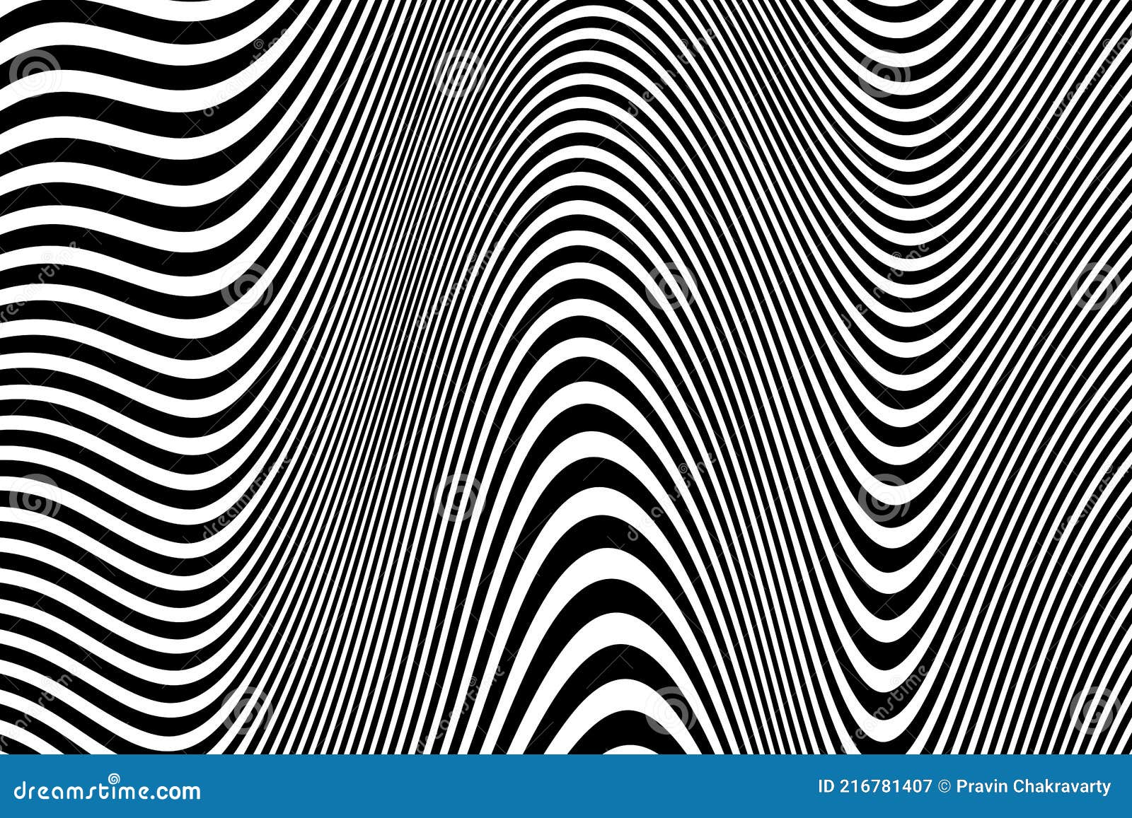 Abstract Pattern Wavy Curve Lines Ripple Black White Lines Vector ...