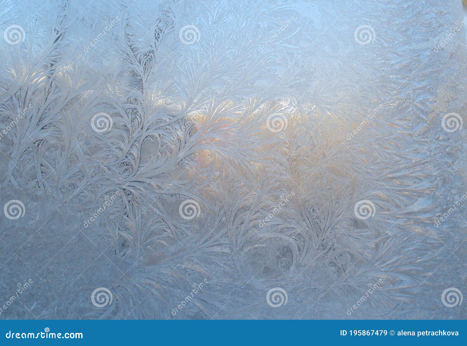 Abstract Patterns on Winter Frozen Window Stock Image - Image of tree ...