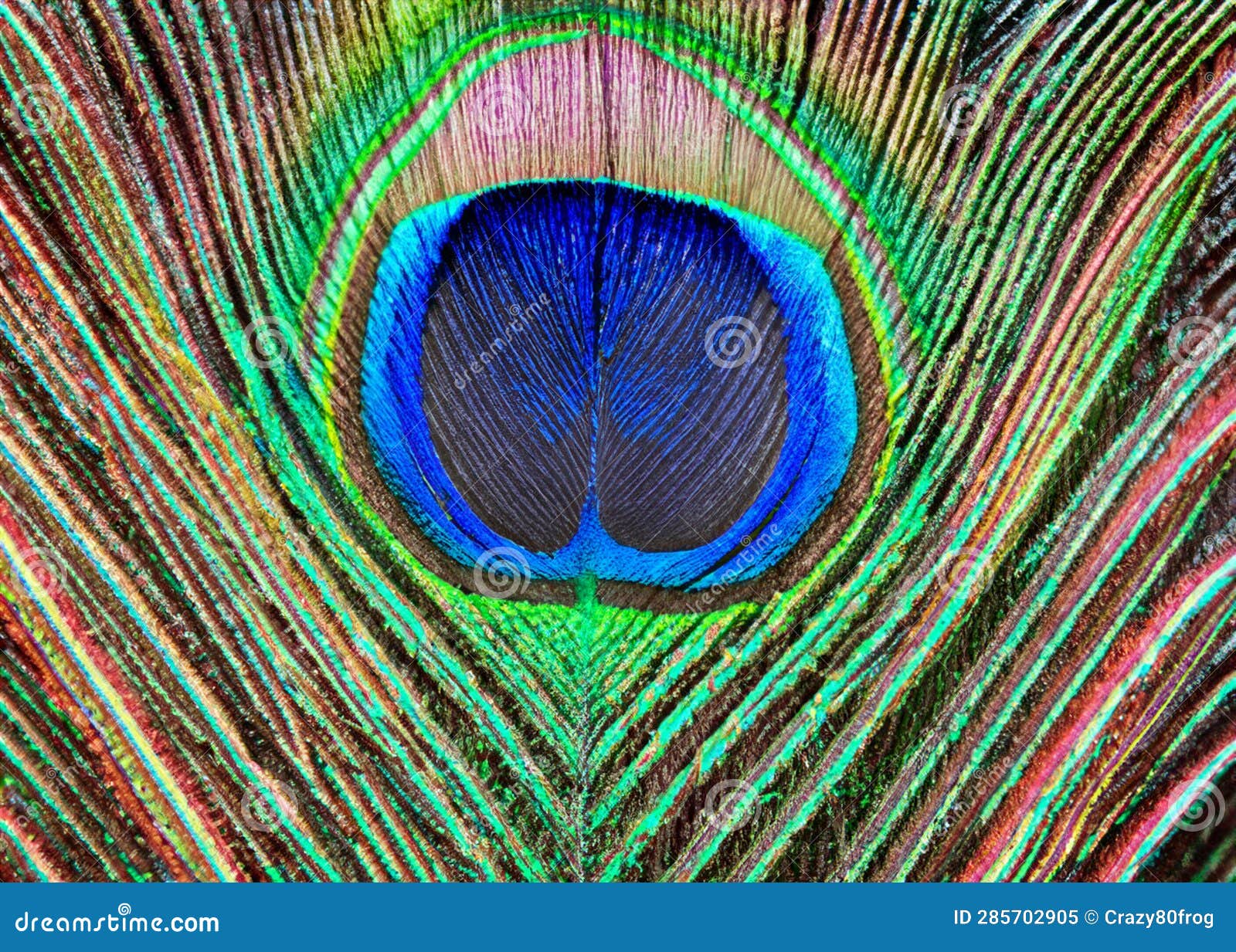 Abstract Peacock Feather Pattern Created with Generative Ai Technology ...
