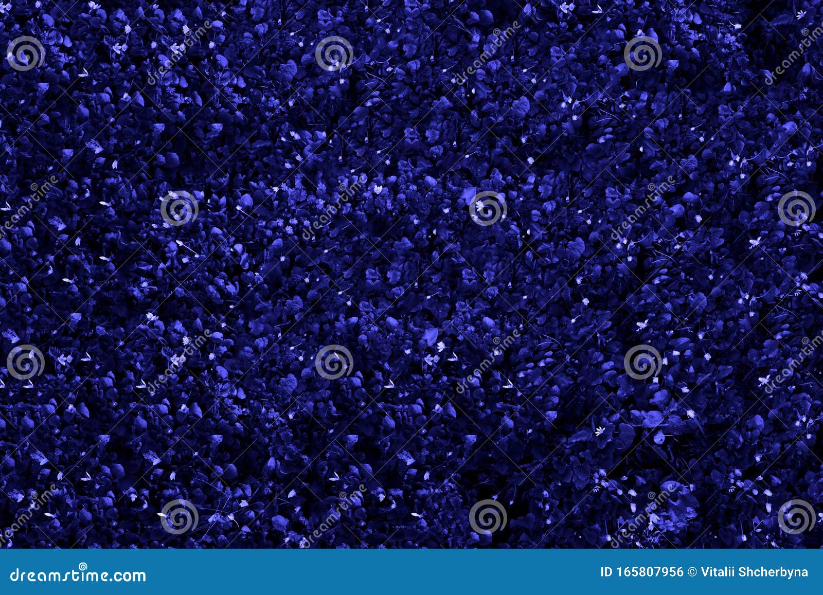 Abstract Phantom Blue Color Background. Dark Blue is Trend Color 2020 ...